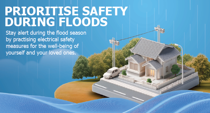 Electricity Safety Guidelines - Tenaga Nasional Berhad