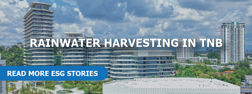 Tenaga Nasional Berhad