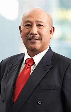 Board Of Directors - Tenaga Nasional Berhad