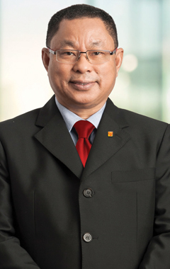 Board Of Directors - Tenaga Nasional Berhad
